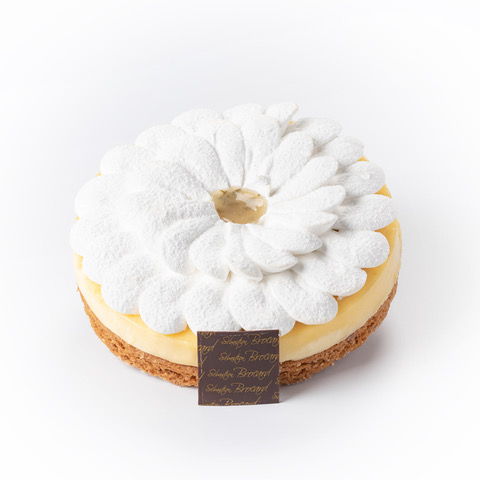 Yellow - Sébastien Brocard